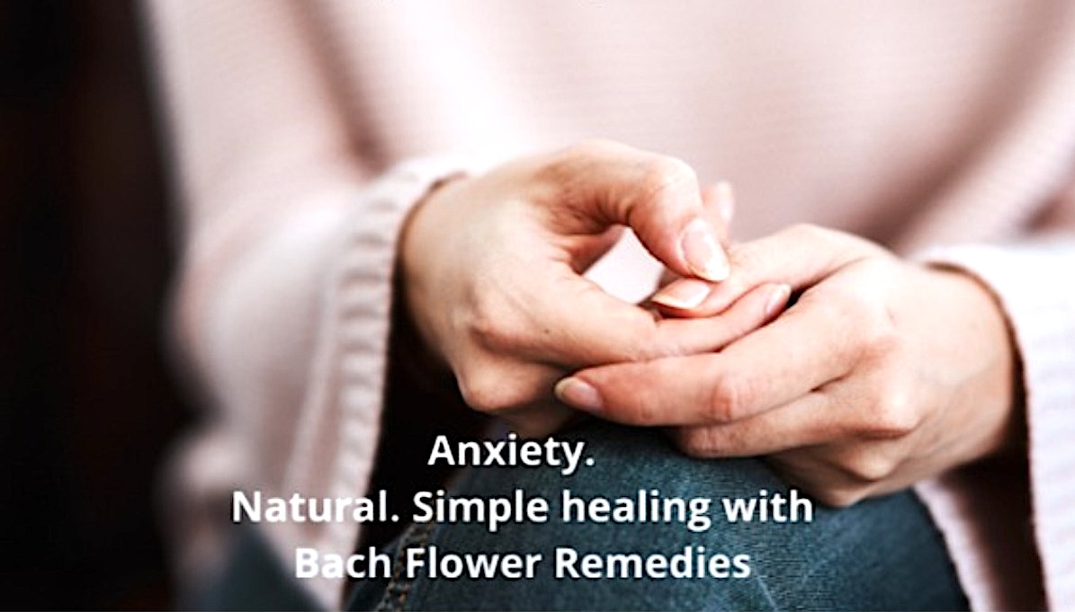 The Bach Flower School - A natural way to help you with Stress and ...