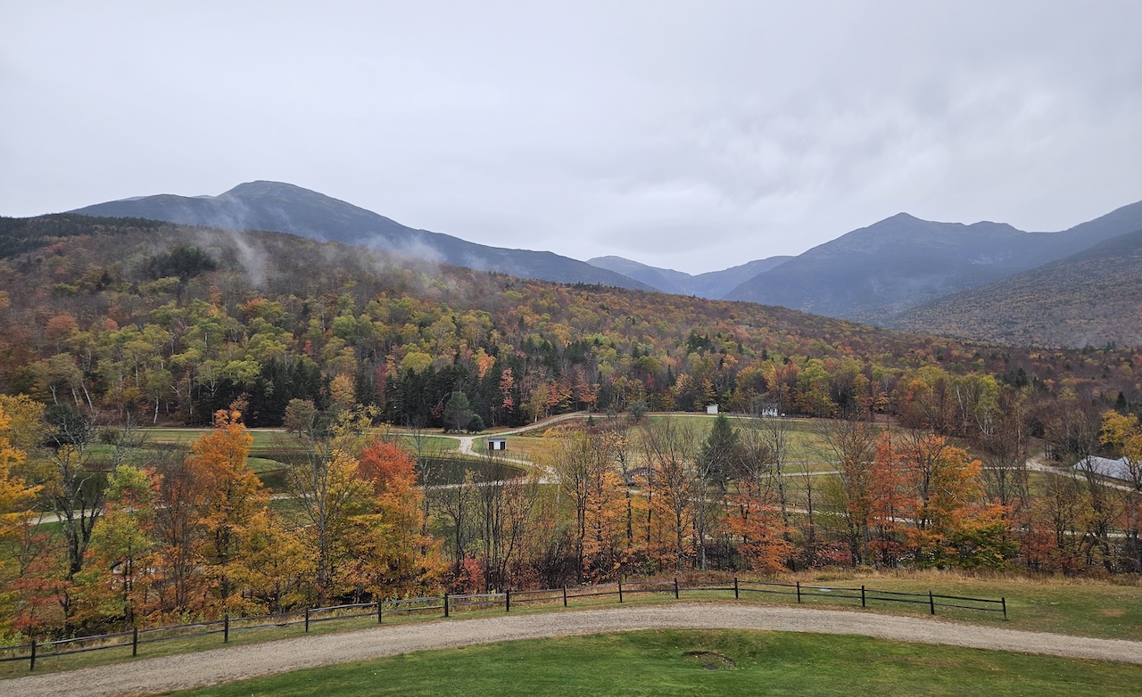 The Benefits of Bach Flower Remedies in Autumn