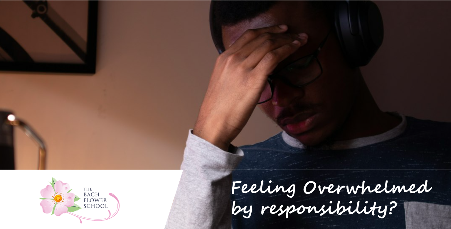 The Bach Flower School - Feeling Inundated or Overwhelmed? - Bach ...